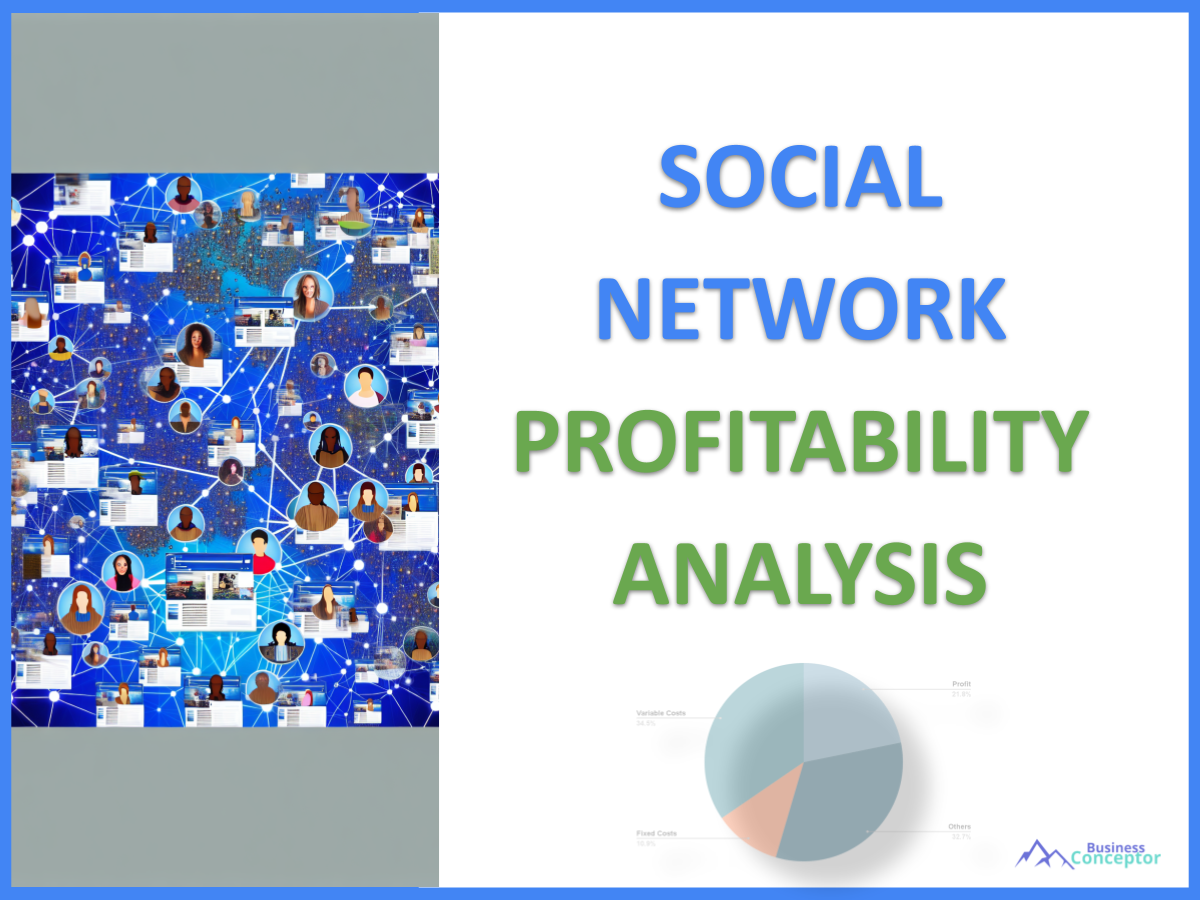 Social Networks: Strategies for High Profitability