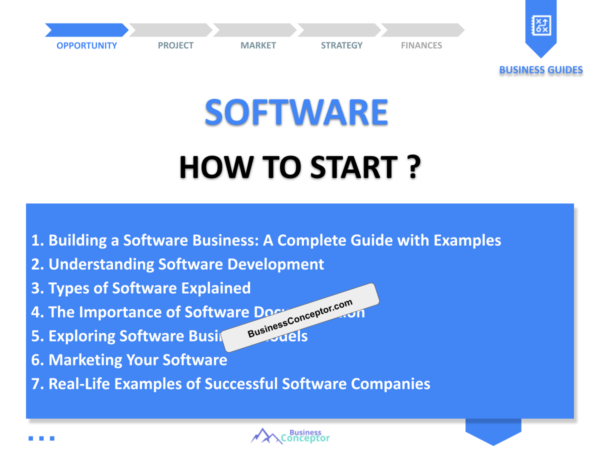 Building a Software Business: A Complete Guide with Examples